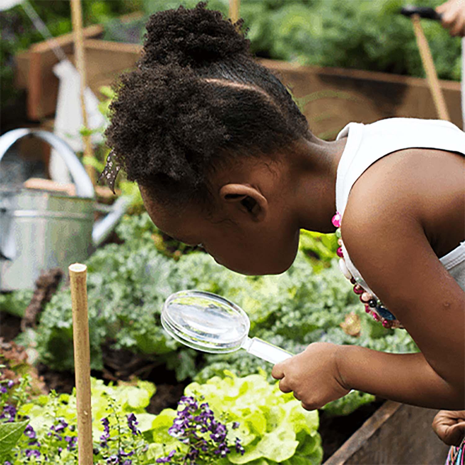 Activities Engaging Kids in Pollinator Gardens – Roger's Gardens