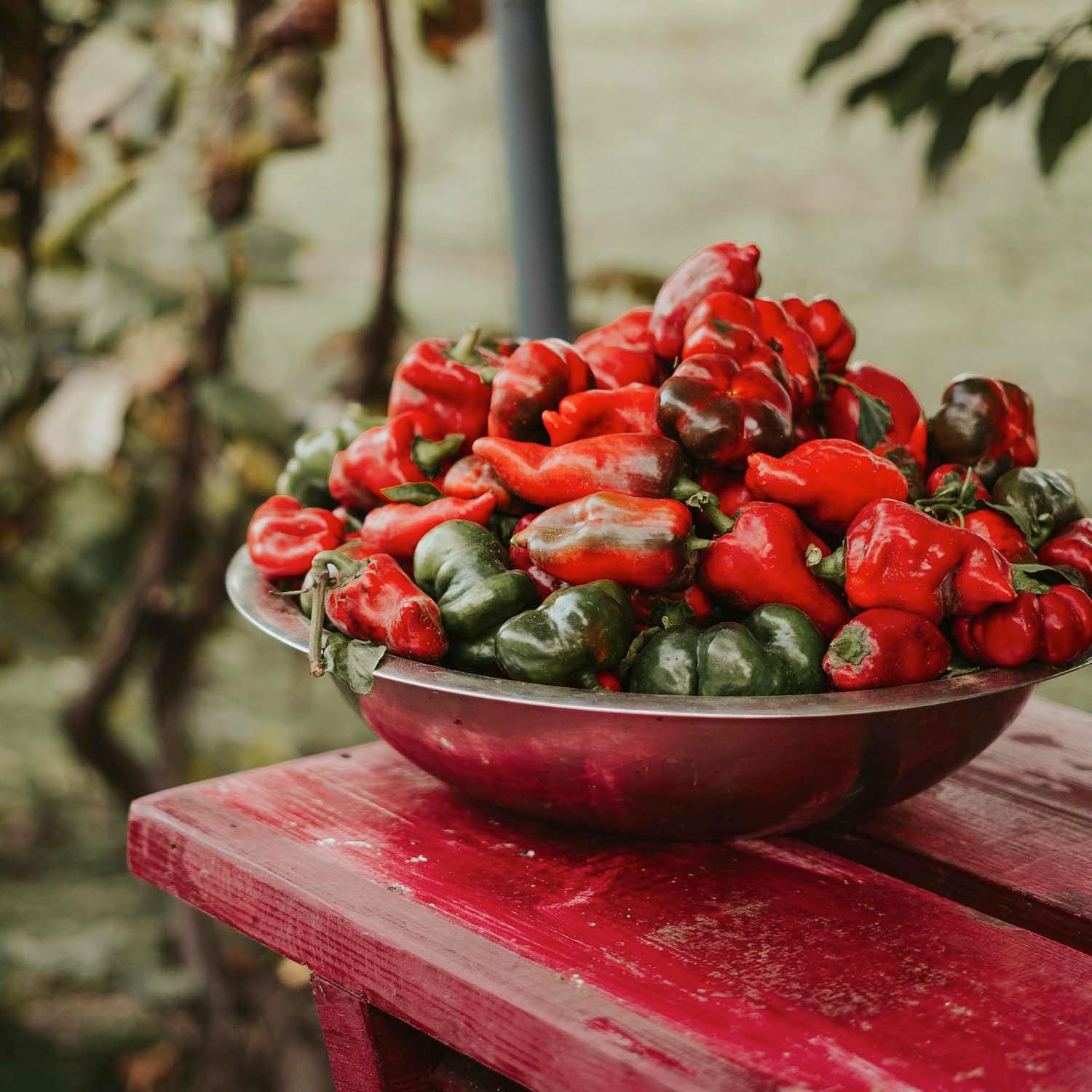 Your Guide To Mexican Peppers – Roger's Gardens