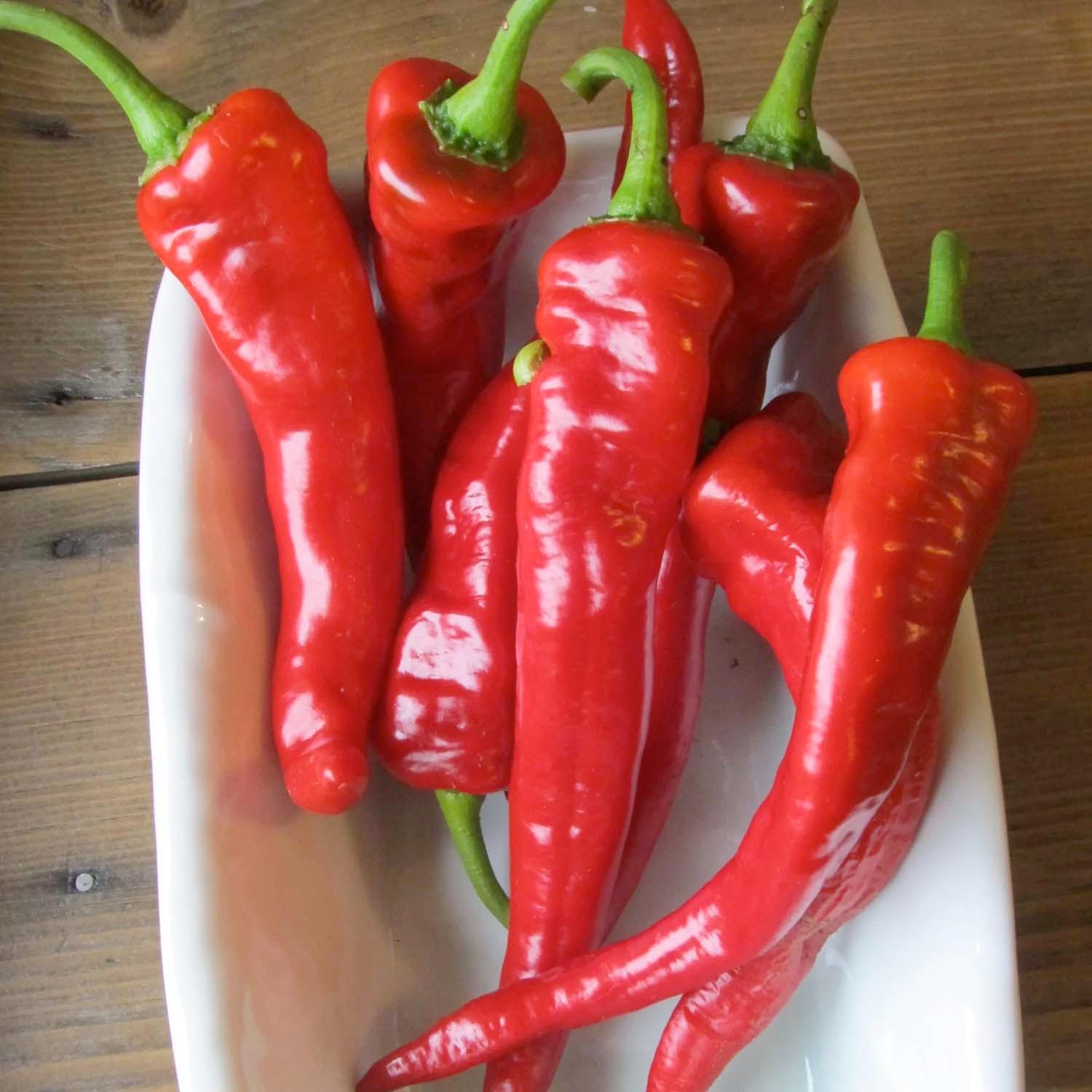 Peppers – Roger's Gardens