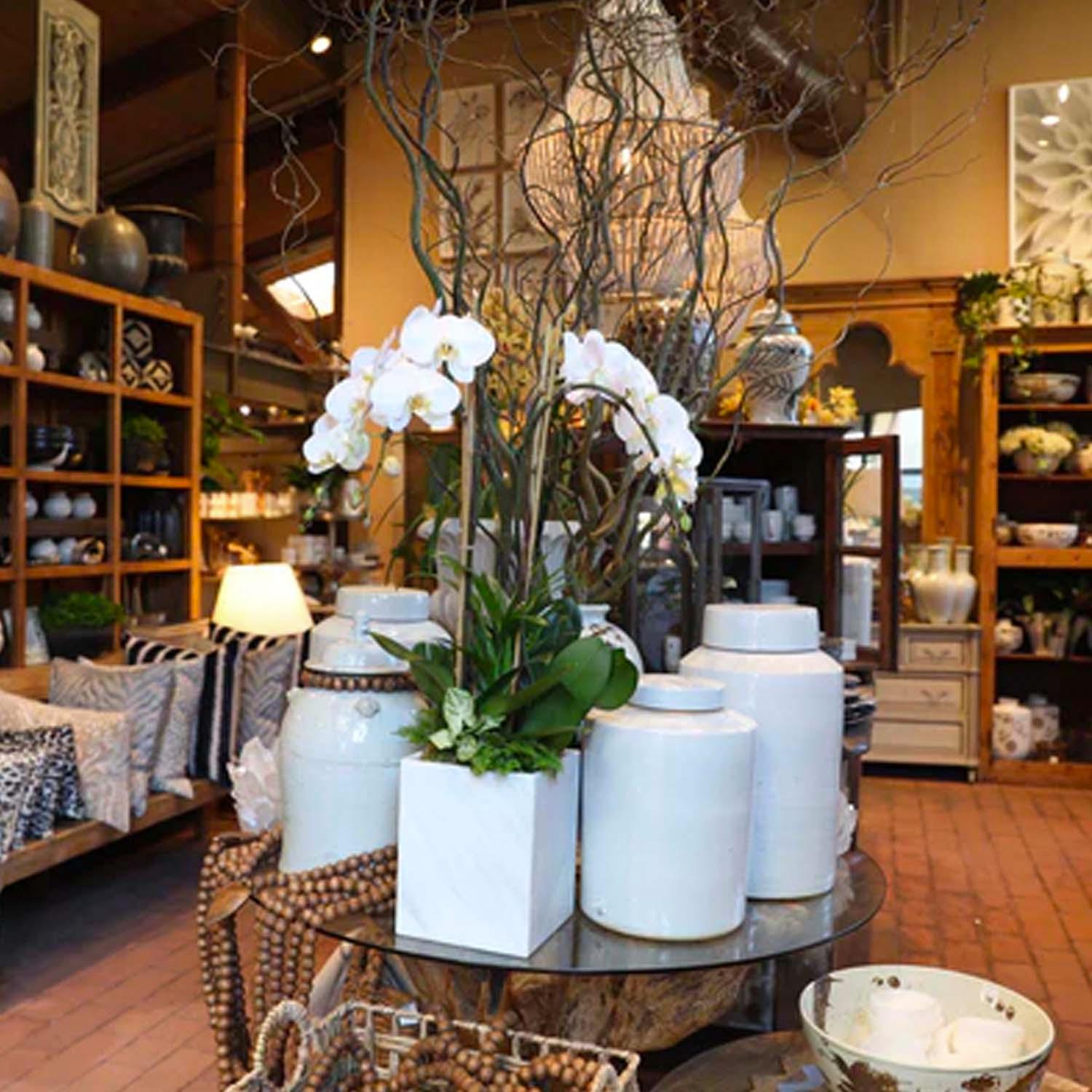 The Gallery – Roger's Gardens