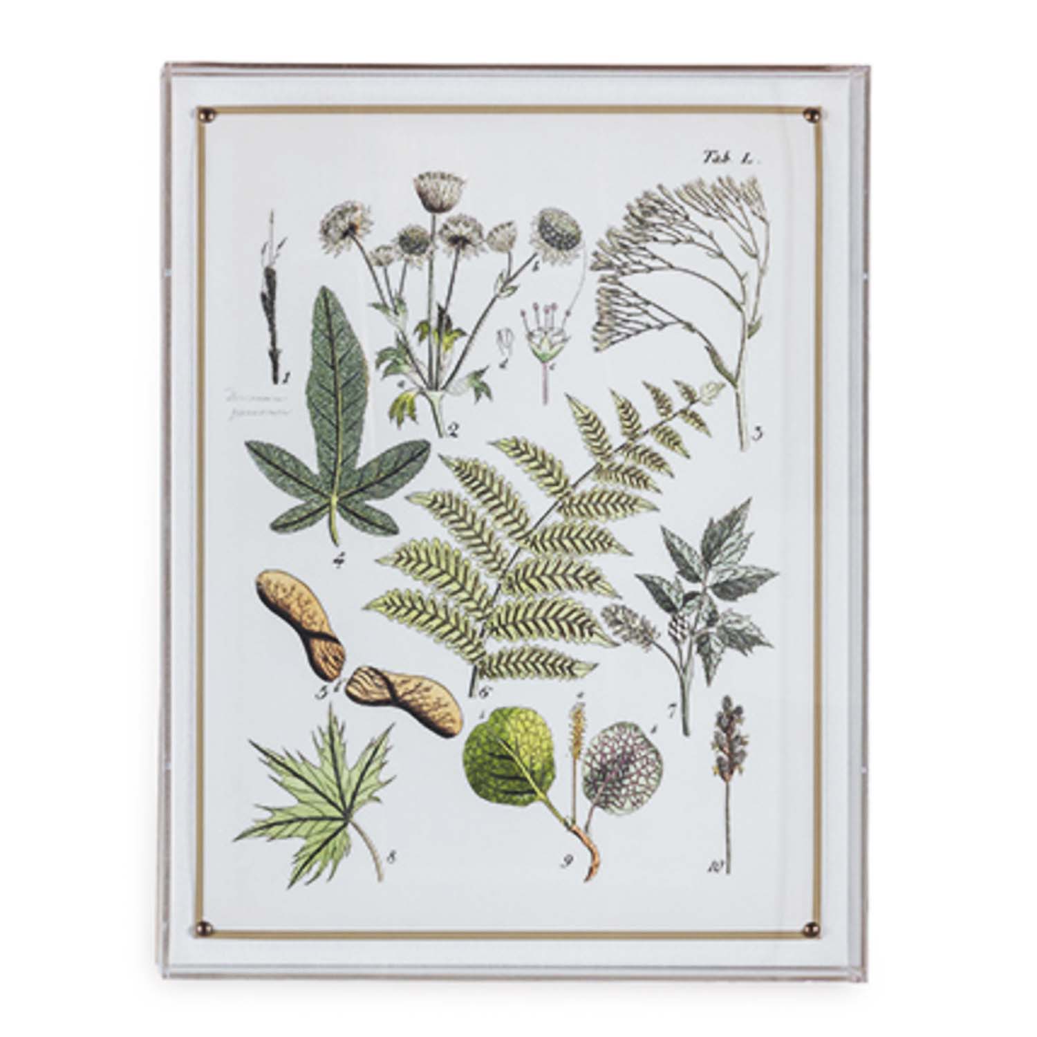 Ferns Panel #196 - 26"x20" – Roger's Gardens