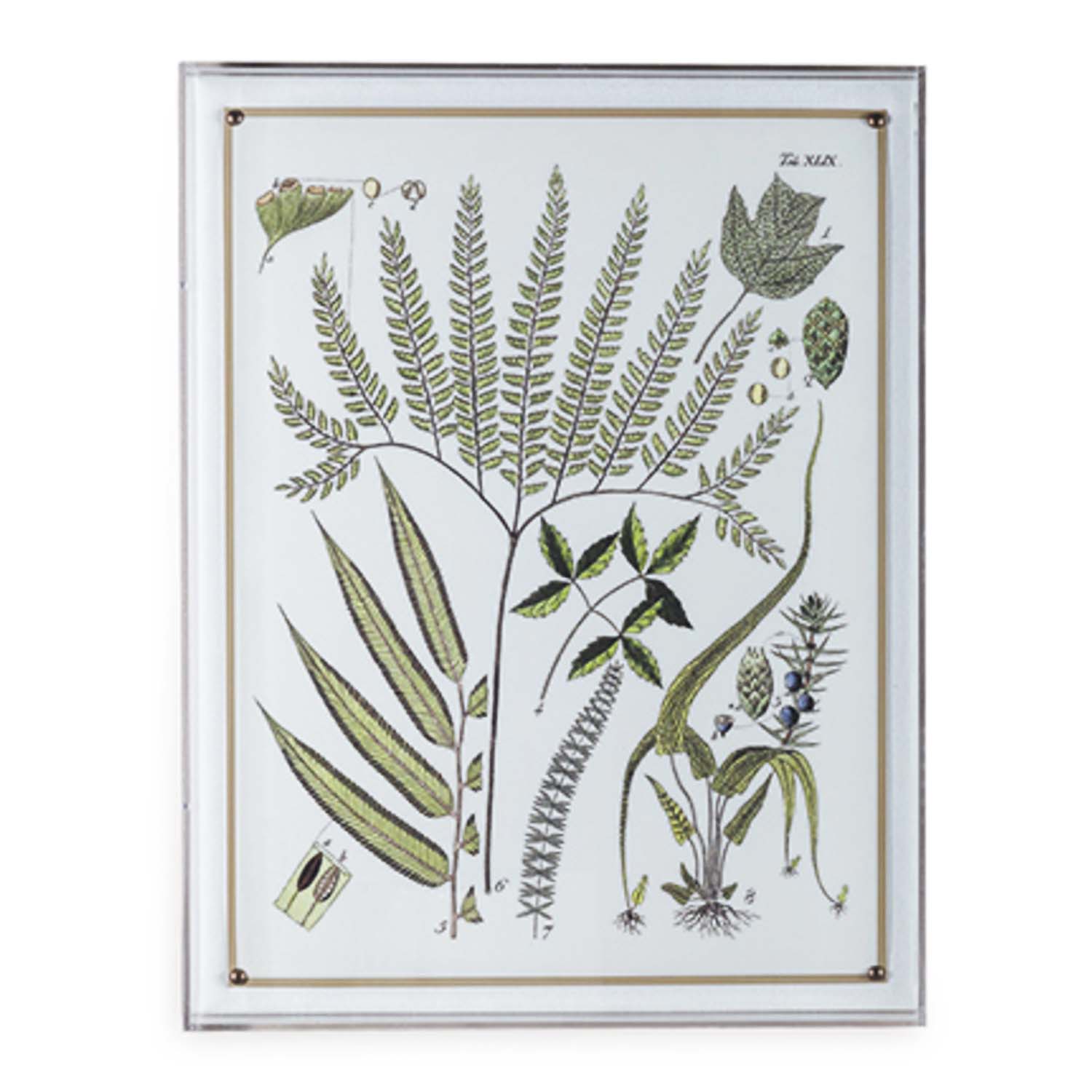Ferns Panel #194 - 26"x20" – Roger's Gardens