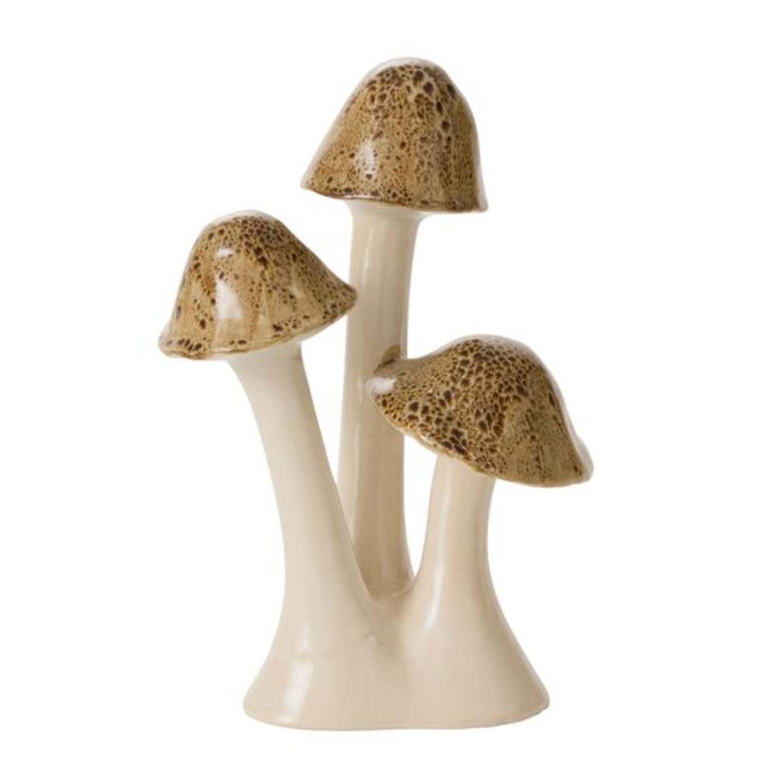 Gold Speckled Mushrooms - 12" Tall – Roger's Gardens