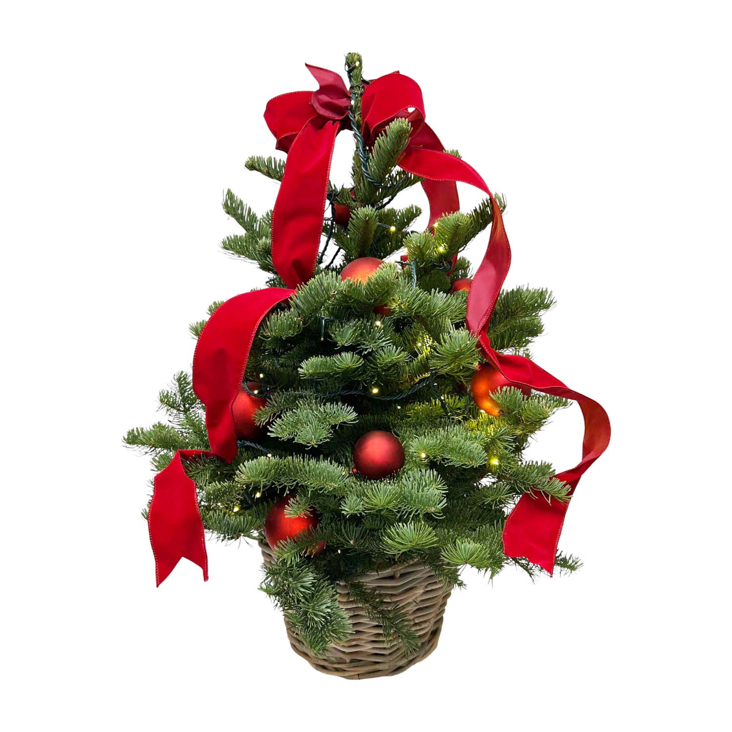 Red Decorated Fresh Cut Petite Tree in Basket – Roger's Gardens