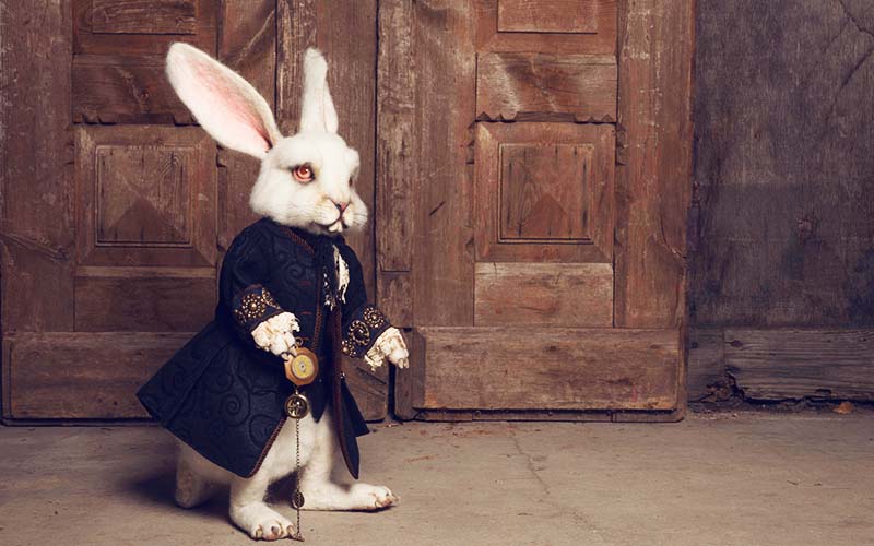 Roger's Gardens Halloween 2019 - Malice in Wonderland