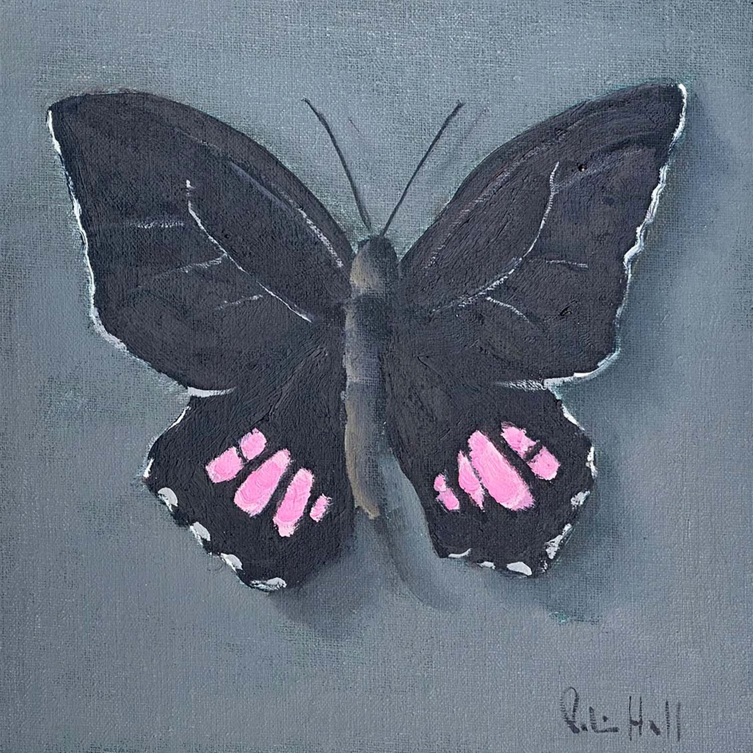 Pink Cattleheart - 8"x8" – Roger's Gardens