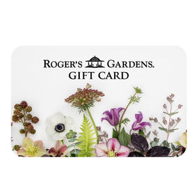 Men, Women & Kids Gift Boutique & Home Décor – Roger's Gardens