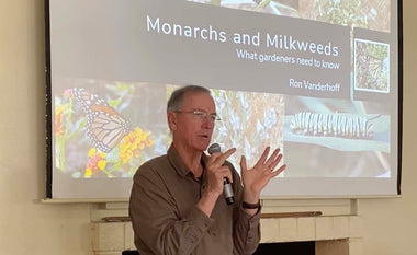 Experience Summer in the Garden – Roger's Gardens