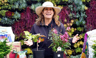 Experience Summer in the Garden – Roger's Gardens