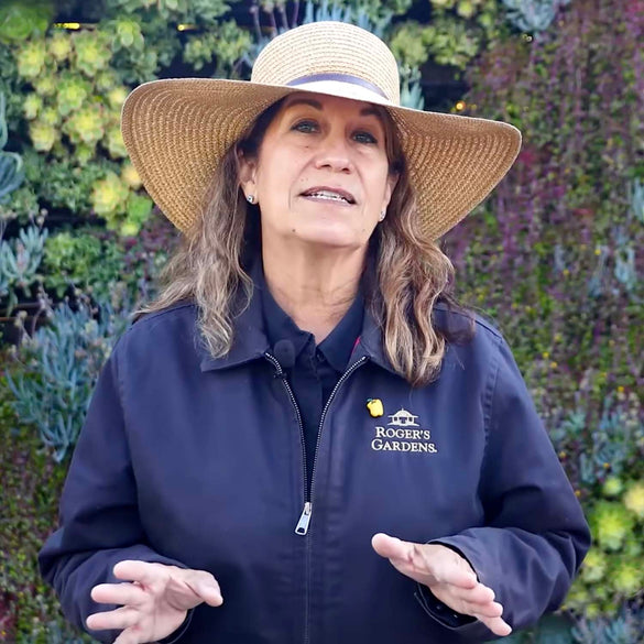 Fall is for Planting – Roger's Gardens