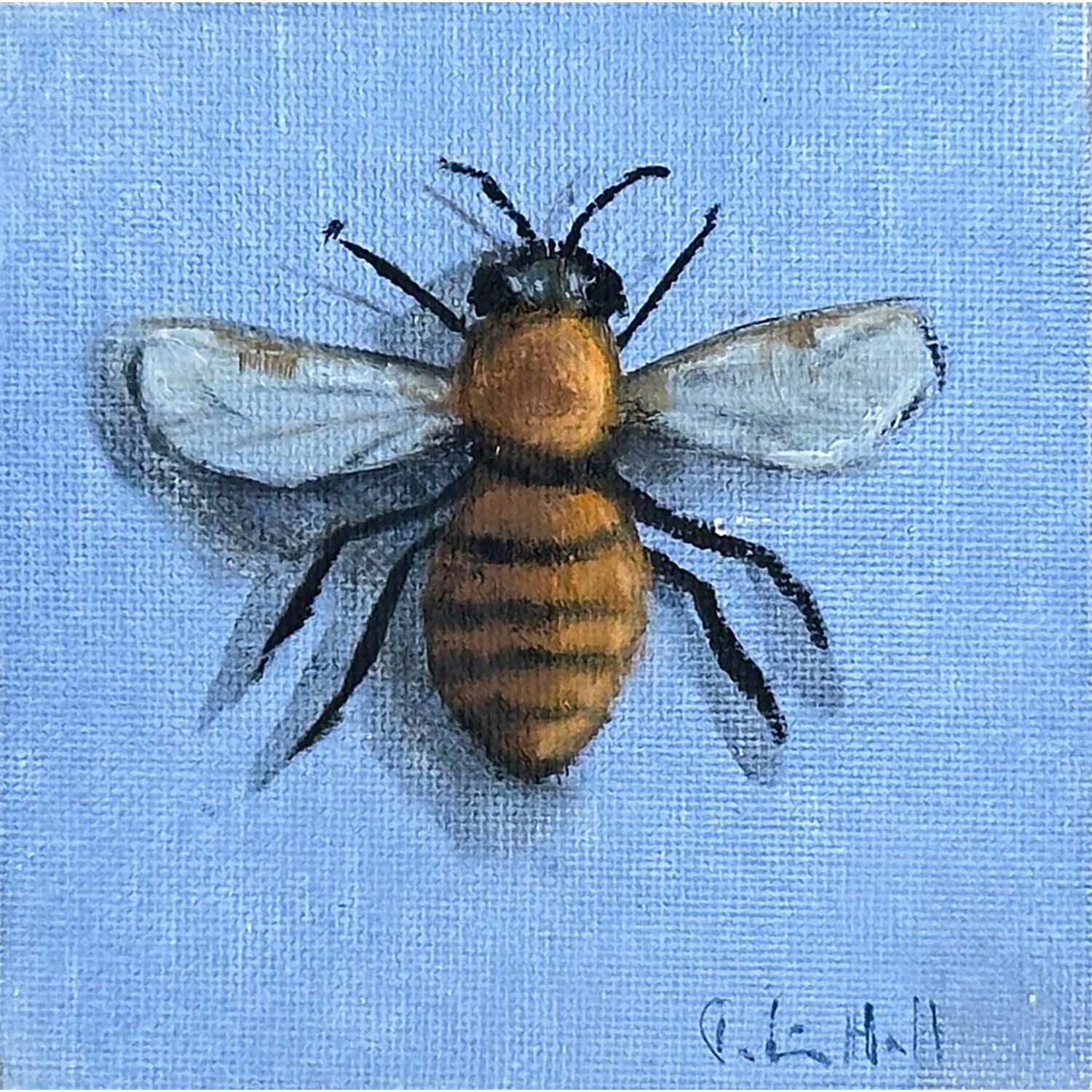 Tawny Mining Bee - 4"x4" – Roger's Gardens