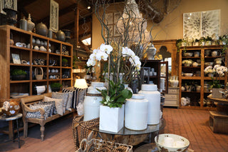 Roger's Gardens - Orange County's Best Nursery