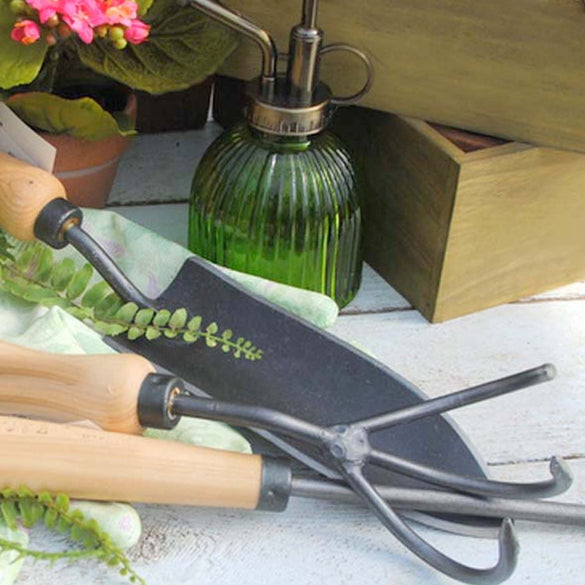 Live Rose Bushes For Sale Orange County Nursery – Roger's Gardens